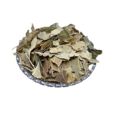Order Neem Leaves Azadirachta Indica Online - IndianJadiBooti.in